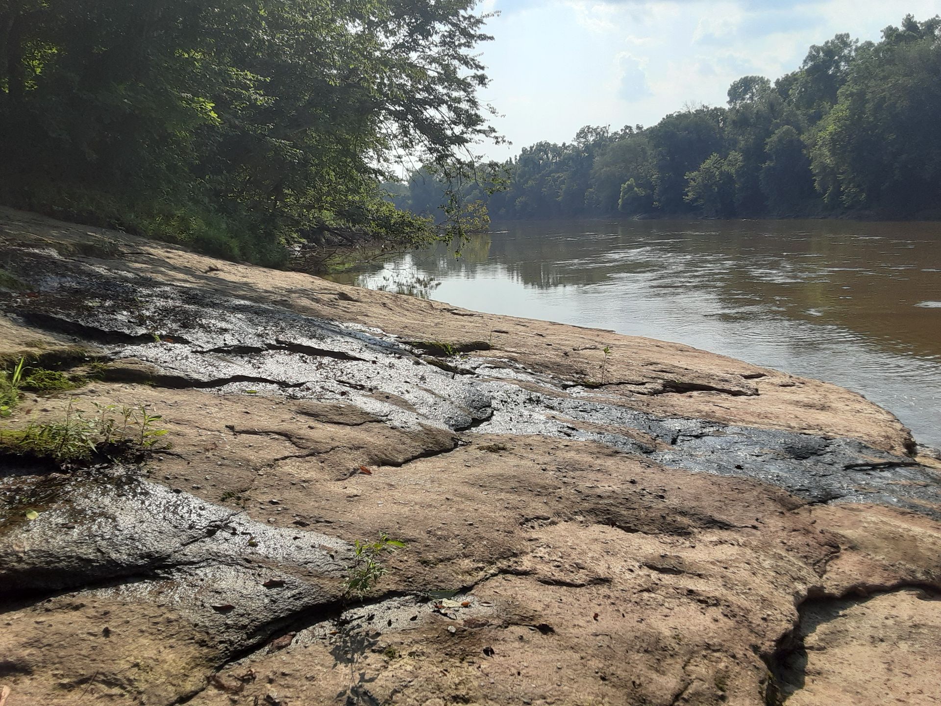 Mile 92 - Old 421 Park